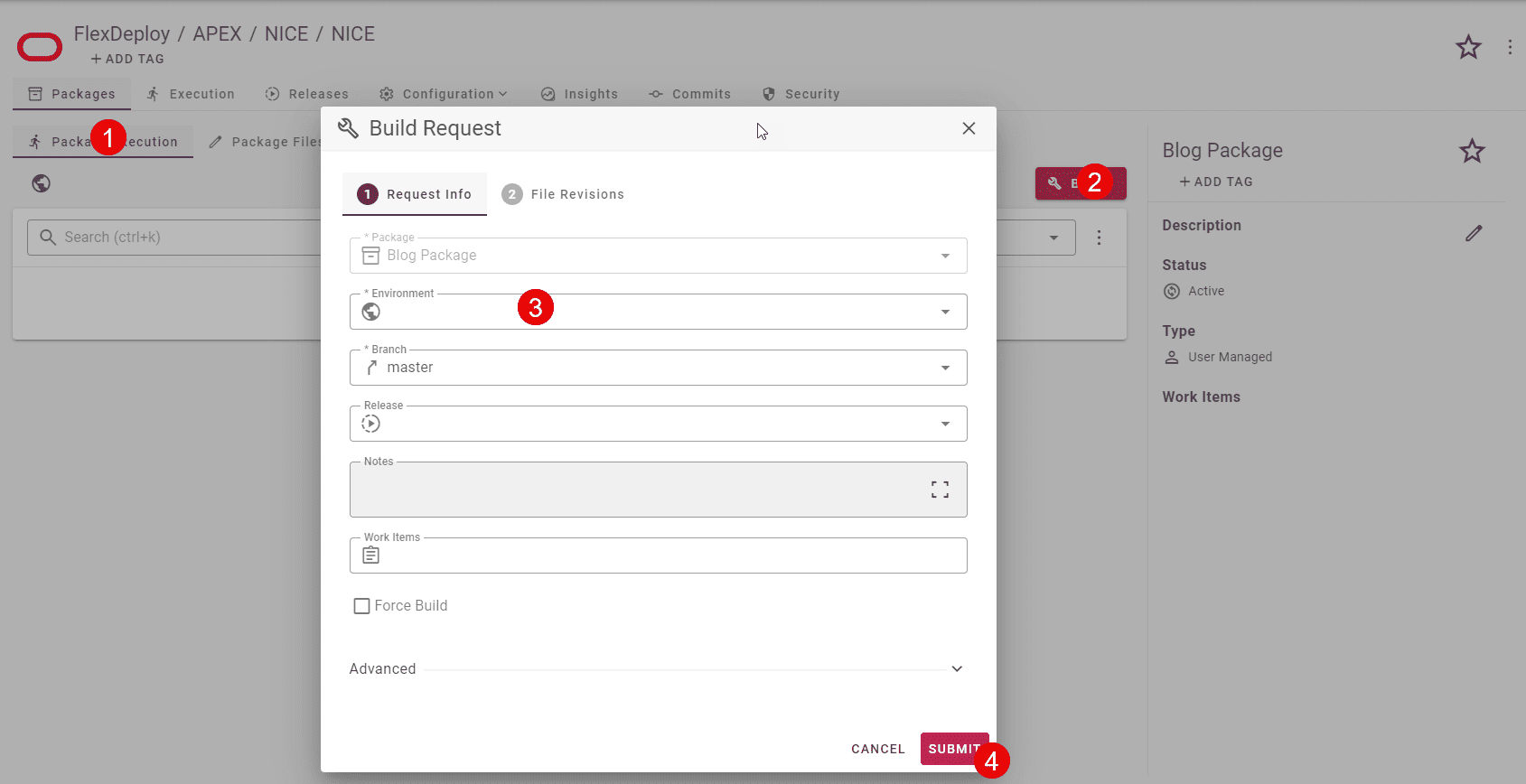 Flexdeploy Loves Apex Source Application From Development Environment
